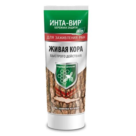 Живая Кора купить во Владимире | Интернет-магазин Вседлясада