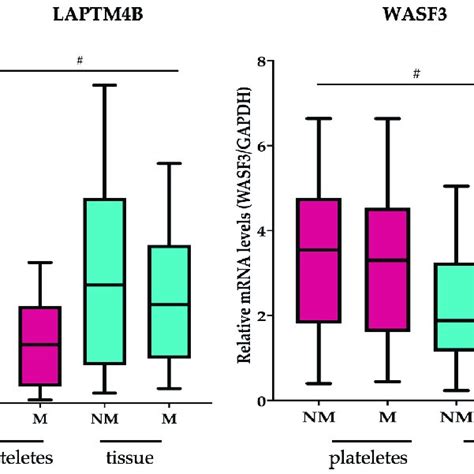 Increased Expression Of Metastasis Related Genes In Platelets And Download Scientific Diagram
