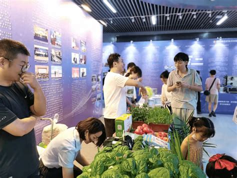 邓子新院士农业科普工作室参加“全国科普日”成果展武汉市生姜水稻