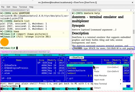 Domterm A Terminal Emulator And Console For Linux