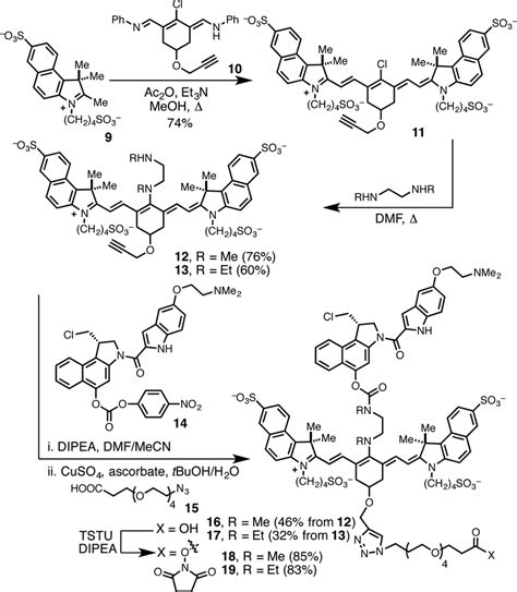 Scheme 1 Synthesis Of Cyanines 18 And 19 Download Scientific Diagram