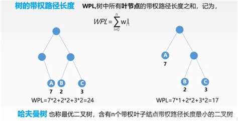 哈夫曼树（带权路径长度树的带权路径长度哈夫曼树定义构造哈夫曼树哈夫曼树性质哈夫曼编码计算平均码长 这里指wpl）哈夫曼数里的加权