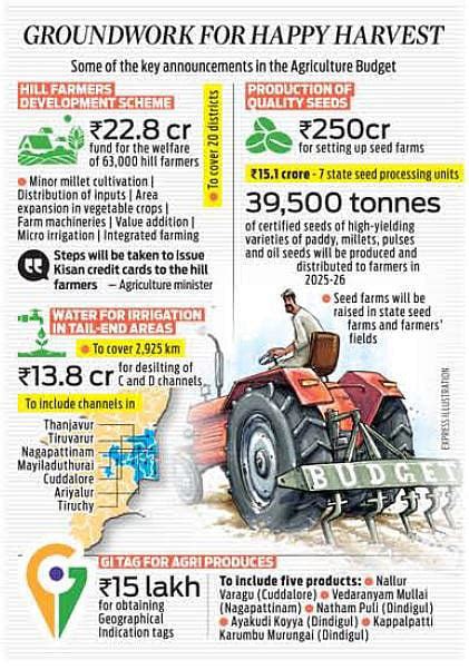 Scheme To Help Farmers Shift From Water Intensive Crops In Tamil Nadu
