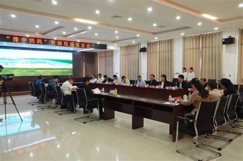 豫中鹁鸽新资源通过国家畜禽遗传资源委员会现场鉴定 我省将再增一地方鸽品种 普查动态 畜禽普查 河南畜牧兽医信息网