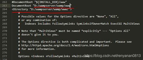 wamp配置路径问题 wamp路径 csdn博客