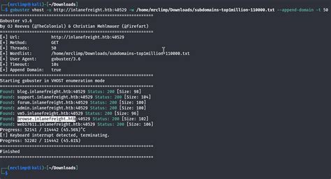 virtual host enumeration a comprehensive walkthrough by s3n5e medium