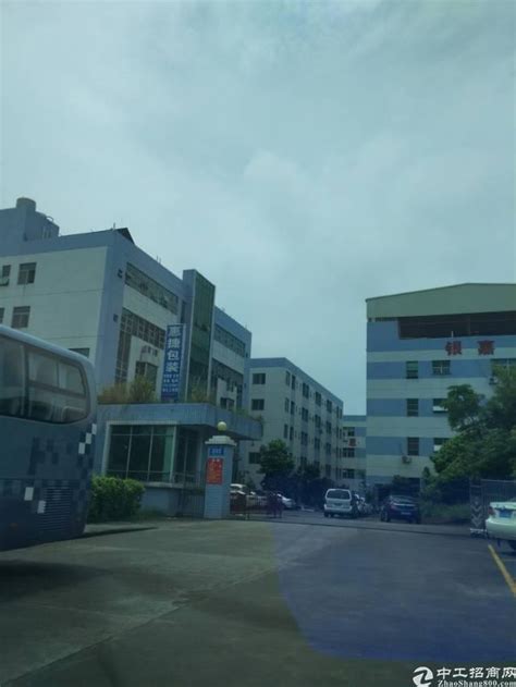 坑梓大新百货一楼图片大山谷图库