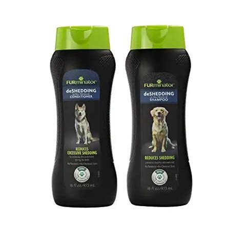 Best Dog Shampoo For Curly Hair 2023 Oodle Life