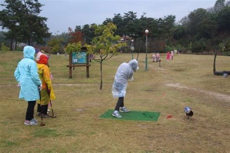 영등포 파크골프협회 선거 개입 의혹 영등포체육회 규탄 성명 발표