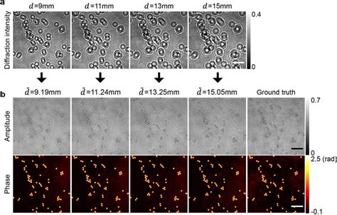 Demonstration Of Consistent Reconstruction From Diffraction Intensity