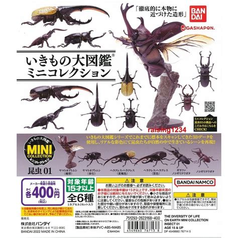 「vic Toy」現貨 扭蛋 轉蛋 Bandai 生物大圖鑑 昆蟲 01 昆蟲 鍬形蟲 獨角仙 單售 蝦皮購物