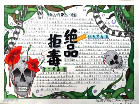 六年级一等奖禁毒手抄报 一等奖手抄报 普车都
