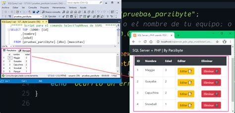 Github Parzibytesql Server Pdo Php Crud Conexión De Php Con Sql Server Usando Pdo Ejemplos