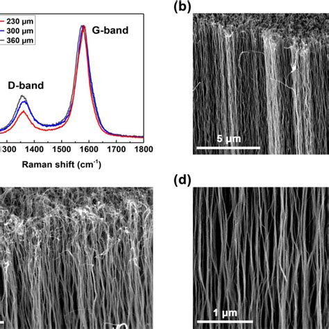 Characterizations Of The Cnt Array Qualities A Representative Raman