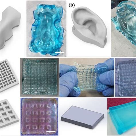 Pdf A Photocurable Hybrid Chitosanacrylamide Bioink For Dlp Based 3d Bioprinting