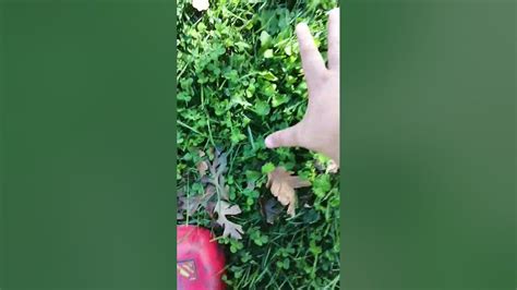 I Tuch Grass Youtube