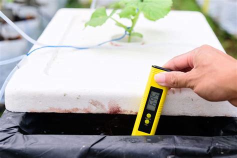 What Causes Ph To Rise Or Drop In Hydroponics How To Control It