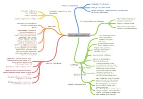 Sistema Respiratório Iii Coggle Diagram