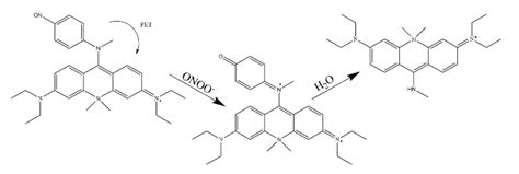 Recent Developments In Rhodamine Based Chemosensors A Review Of The Years 2018 2022