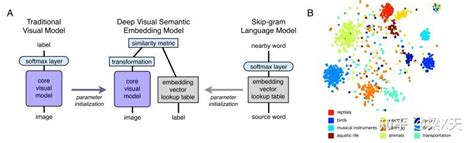 Devise A Deep Visual Semantic Embedding Model 知乎