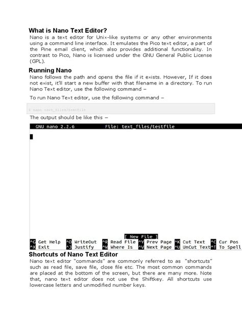 Nano Pdf Computer Architecture Software
