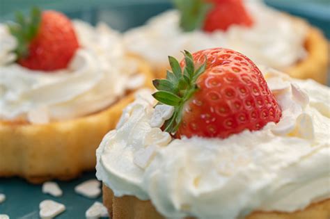 딸기를 곁들인 스폰지 케이크와 크림의 아름다운 디저트 0명에 대한 스톡 사진 및 기타 이미지 0명 과일 과일 케이크 Istock