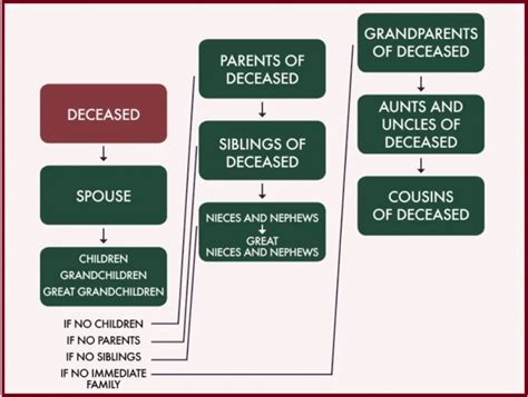 Intestate Succession Settling An Estate Without A Will The Us Will