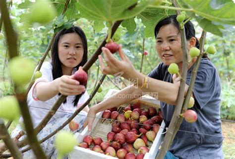 江西万年特色产业助力乡村振兴 人民图片网