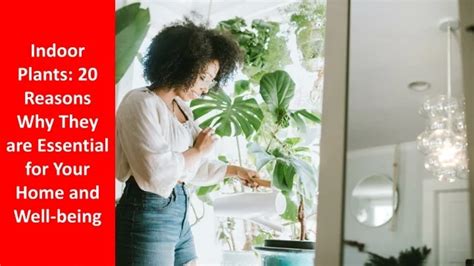 Ppt Indoor Plants 20 Reasons Why They Are Essential For Your Home And