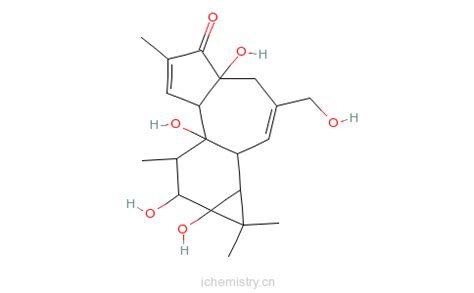 Cas Phorbol