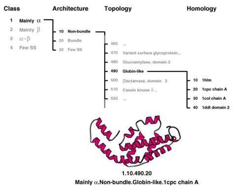 Hera A Program To Draw Schematic Diagrams Of Protein Secondary