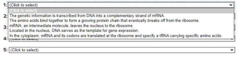 Solved The Following Graphic Shows The Major Steps Of Gene Chegg