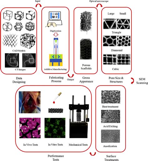 Three Dimensional Printing Of Porous Metal Scaffold And Main Tests