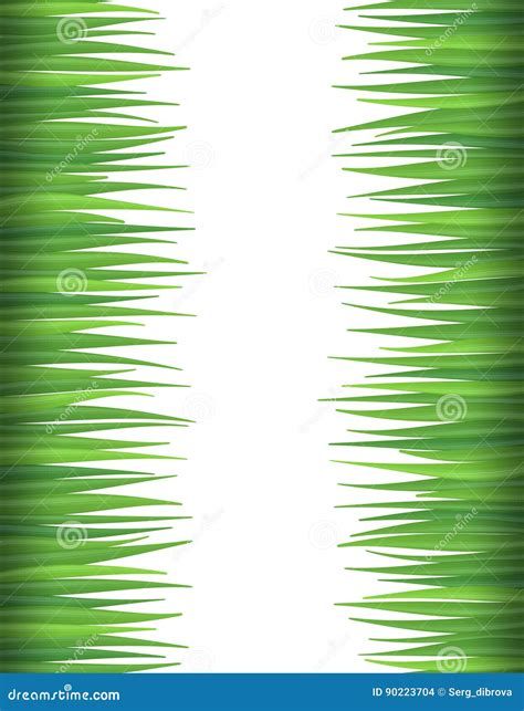 Seamless Grass Pattern Stock Vector Illustration Of Summer 90223704