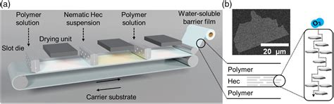 green and scalable processing of water soluble biodegradable polymer
