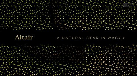 Bass Strait Beef Marbled Bass Strait T Bones From Coolmeatdirect