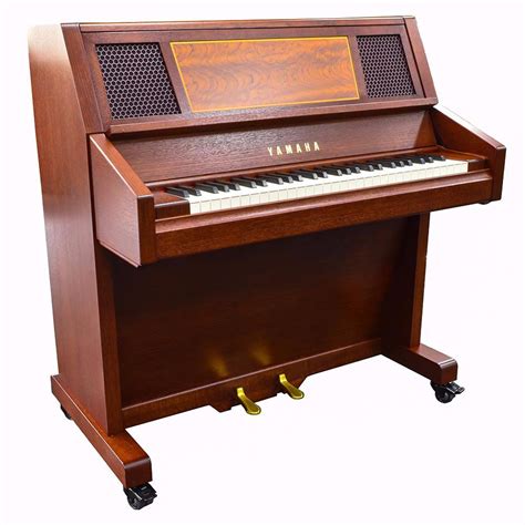 The Celeste