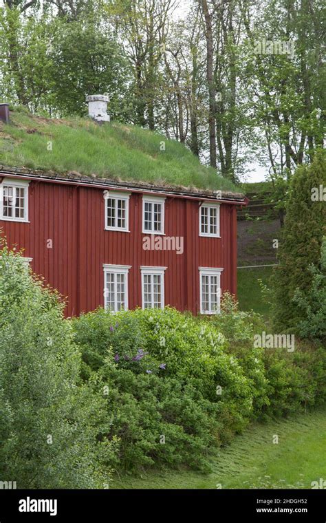 Wooden House Green Roof Wooden Houses Grass Roof Green Roofs Stock