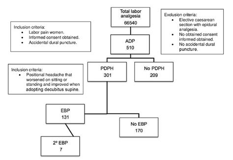 Epidural Chart A Visual Reference Of Charts Chart Master