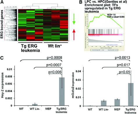 Integration Of Chip Seq And Expression Data Reveals Transcriptional