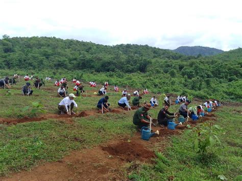 မိုင်းစံမြို့ ခလရ၁၅၀ခြေလျင်တပ်ရင်း၌ ပထမအကြိမ် မိုးရာသီ စုပေါင်းသစ်ပင