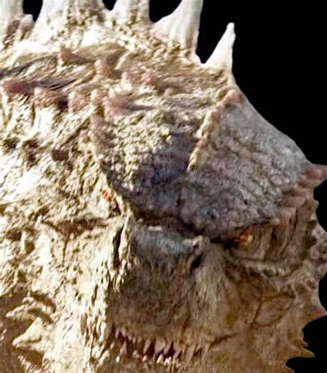 Godzilla Evolved Png Gxk The New Empire By Giazeta6198 On Deviantart