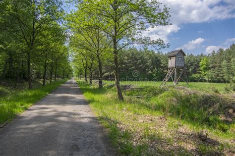 Wooden Deer Stand Looks Like Elevated Tiny House With Ladder Situated