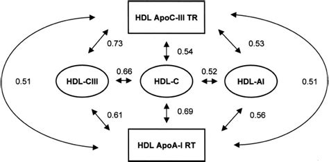 Plasma Turnover Of Hdl Apoc I Apoc Iii And Apoe In Humans Journal Of Lipid Research