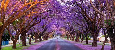 Why Visit Grafton Yamba Holiday Accommodation Parkview Yamba Escape