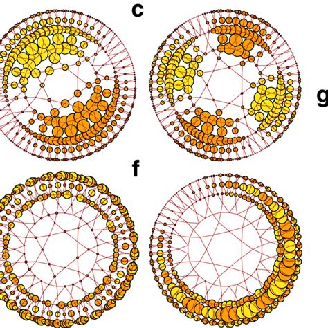 Circuit Qed Lattices A Picture Of A Euclidean Lattice Of Cpw Microwave Download Scientific