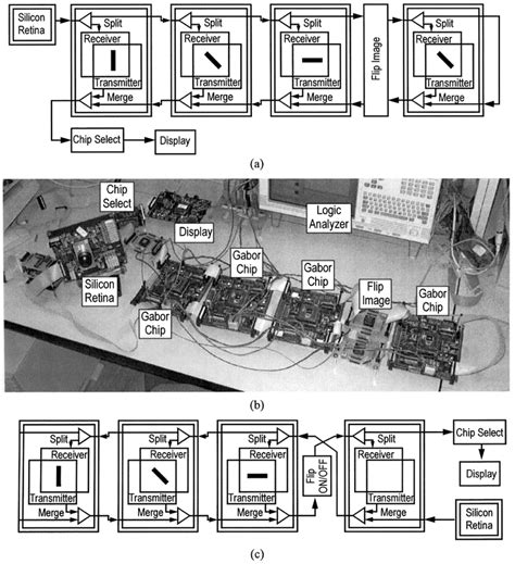 a feedforward implementation of orientation selective hypercolumns