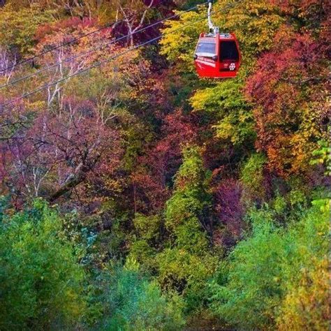 松花江上游 松花江畔的初秋赏景之旅长白白山度假区