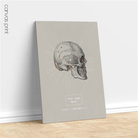 Cranial Bones Lateral Educaredesign