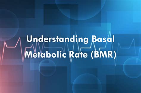 Understanding Basal Metabolic Rate Bmr Mydna Know Yourself Better
